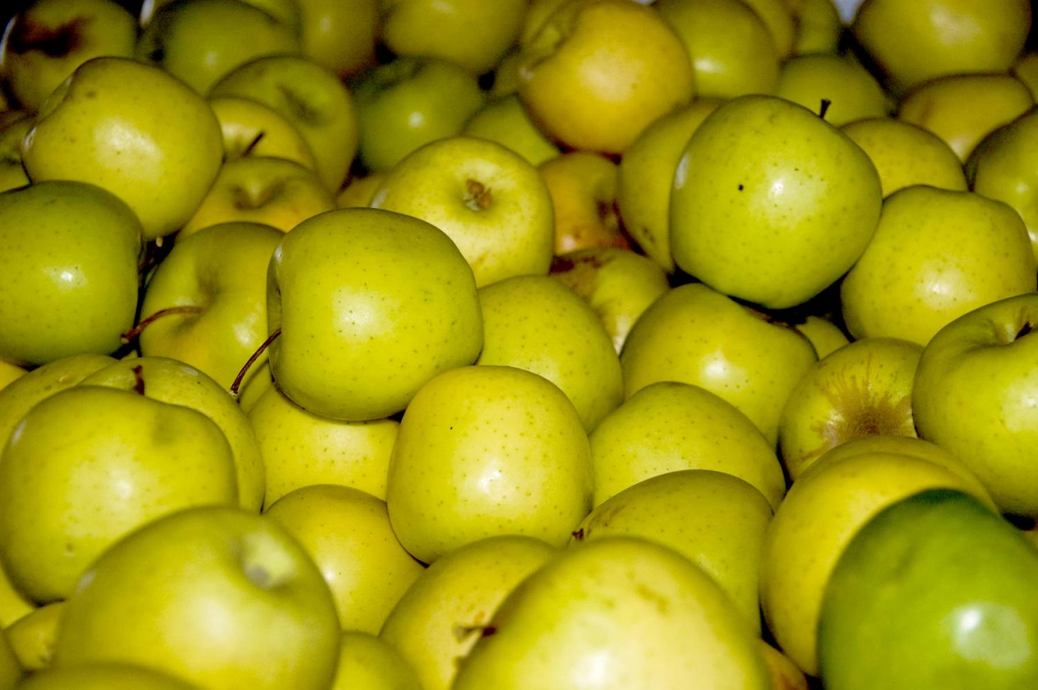 Golden Delicious | Zdravăn